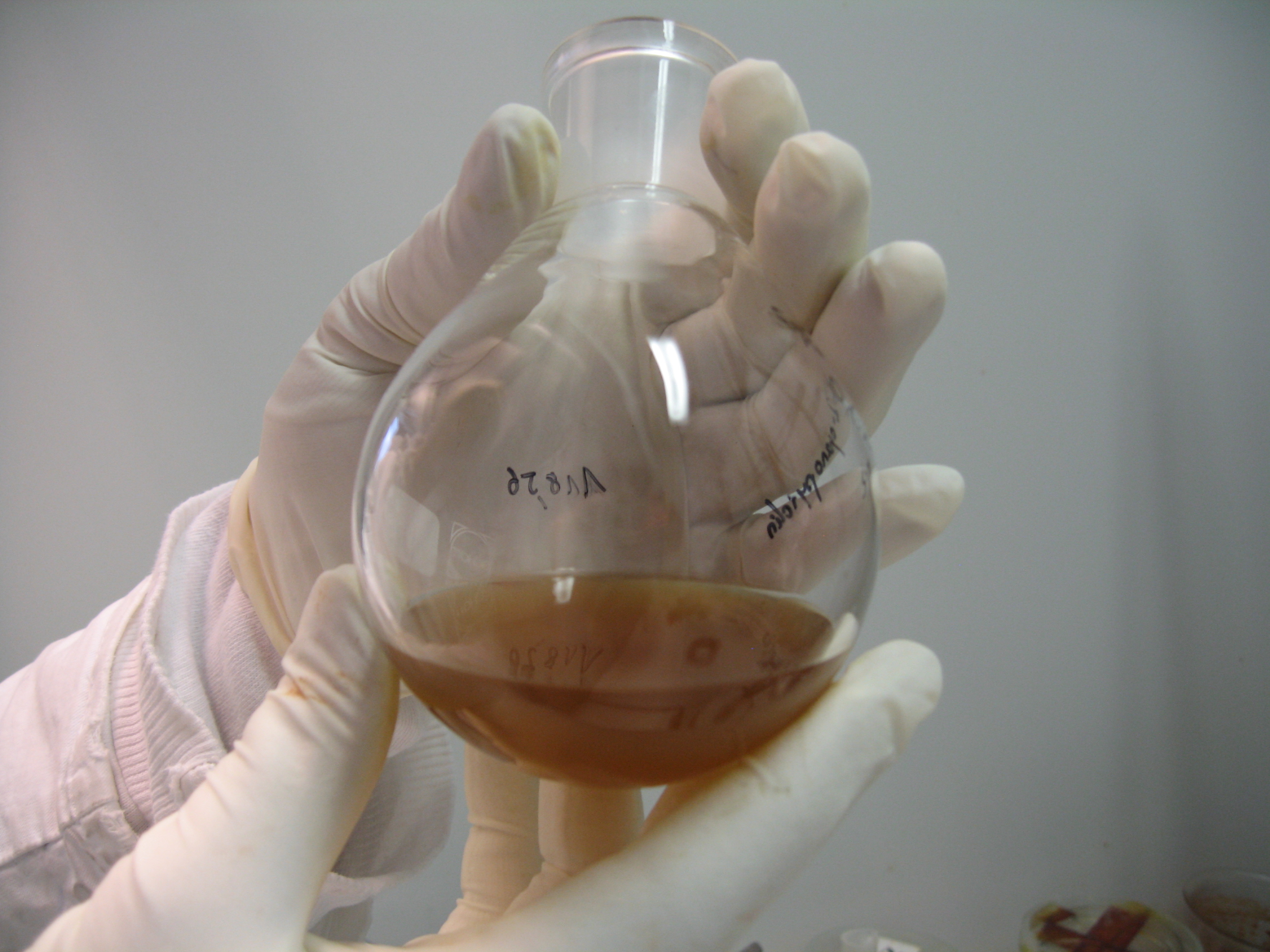 - Home [www.rarechem.de]