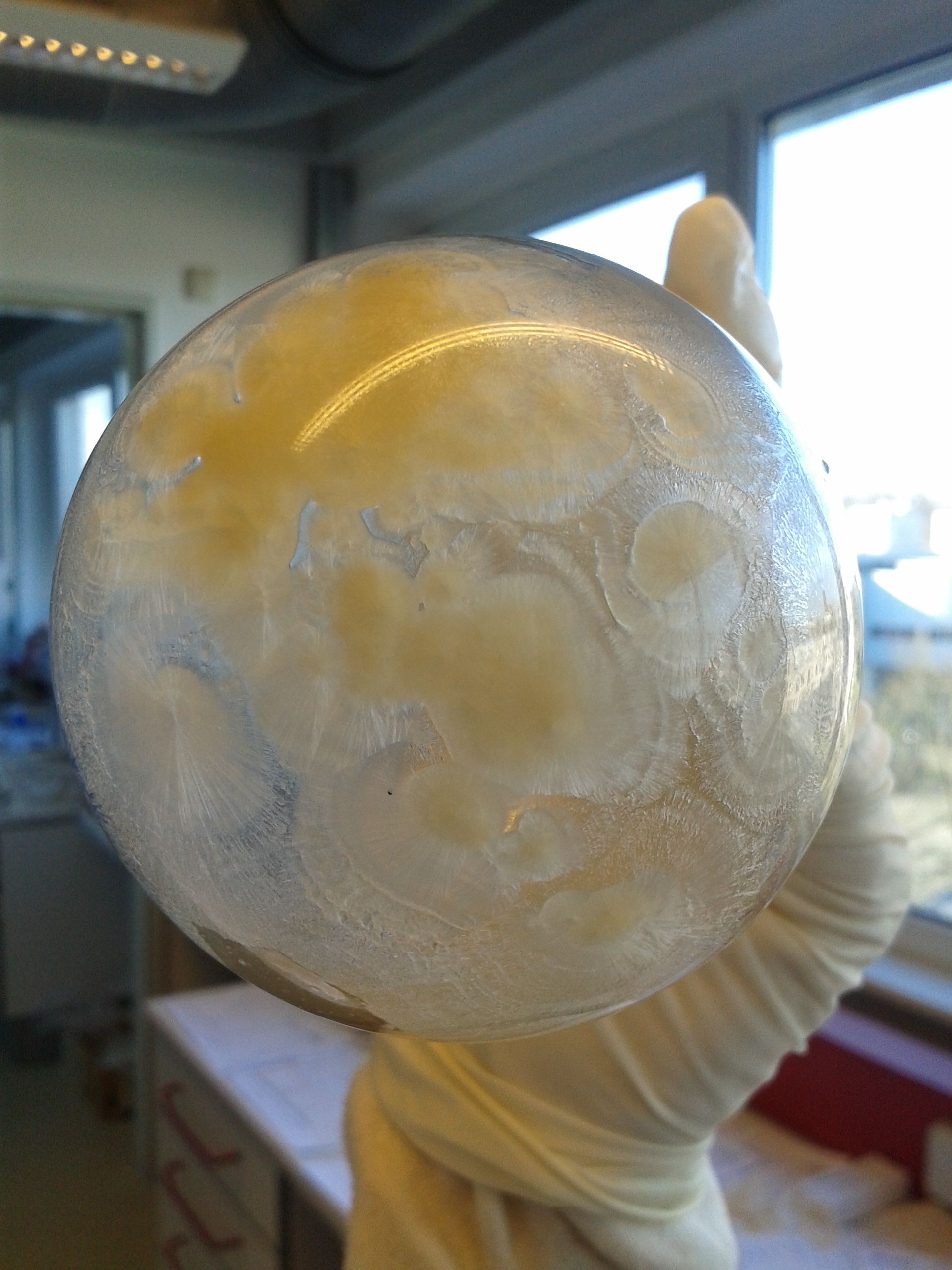 - Home [www.rarechem.de]